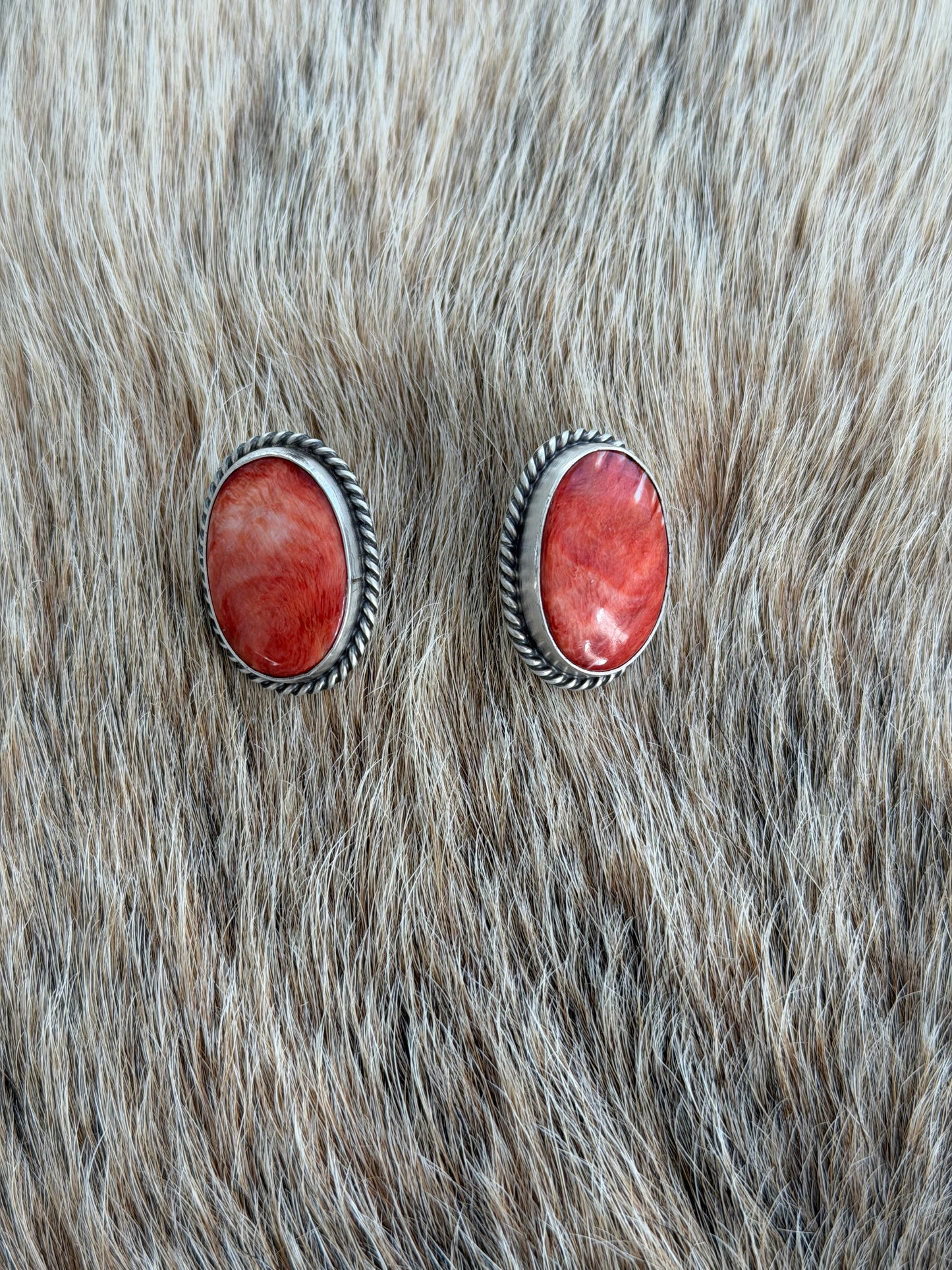 Red Spiny Oyster Shell Earrings – Ranchin' Roots